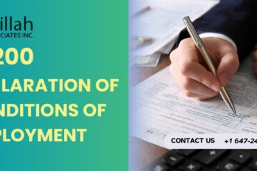 Accounting Firm Mississauga | Tax Accountant Near Me | Accounting ...